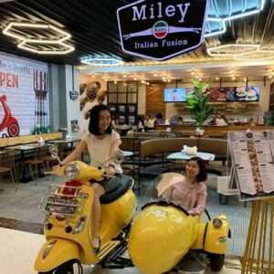 Custom Vespa Sidecar – Vespa Medan Vespark